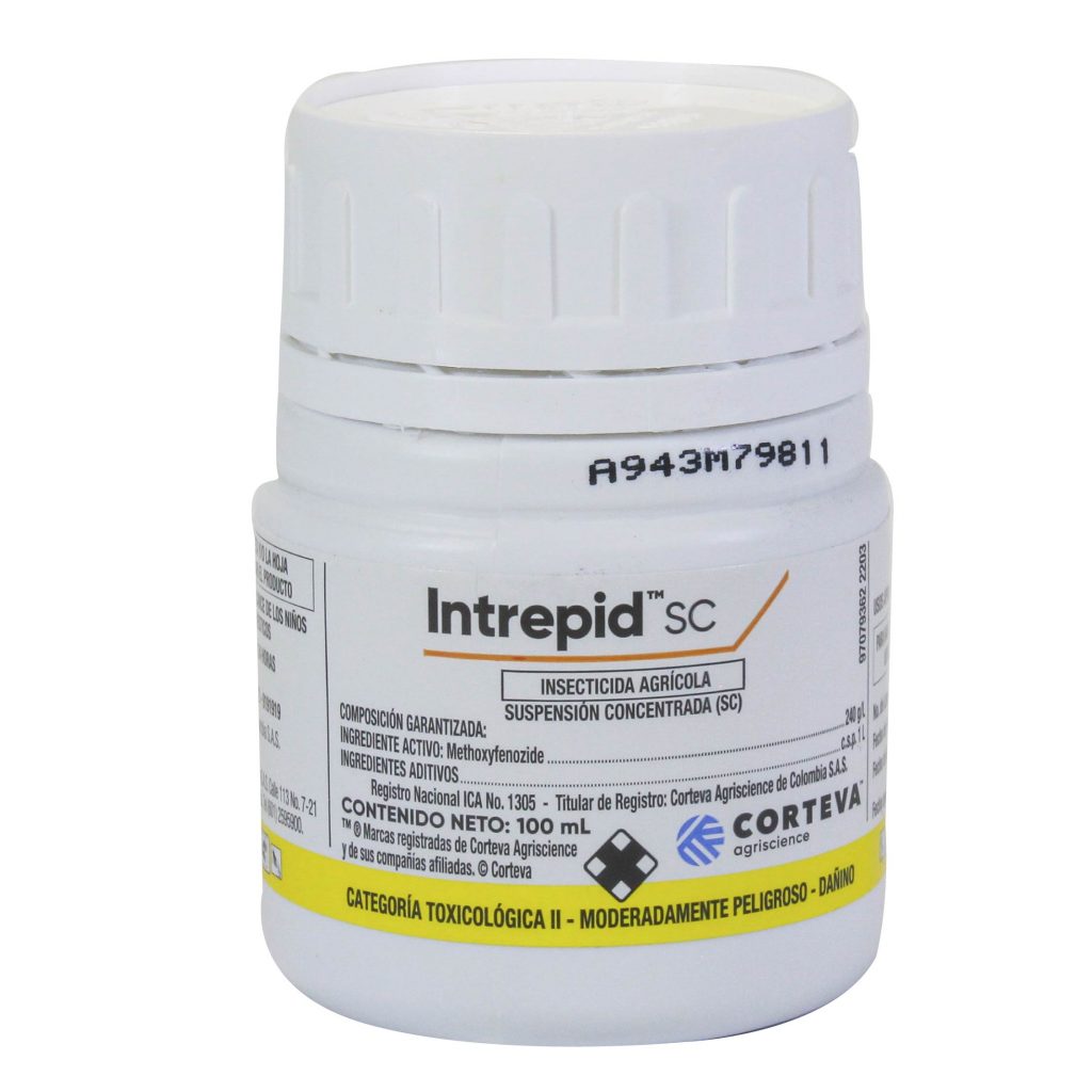 Intrepid SC - Insagrin