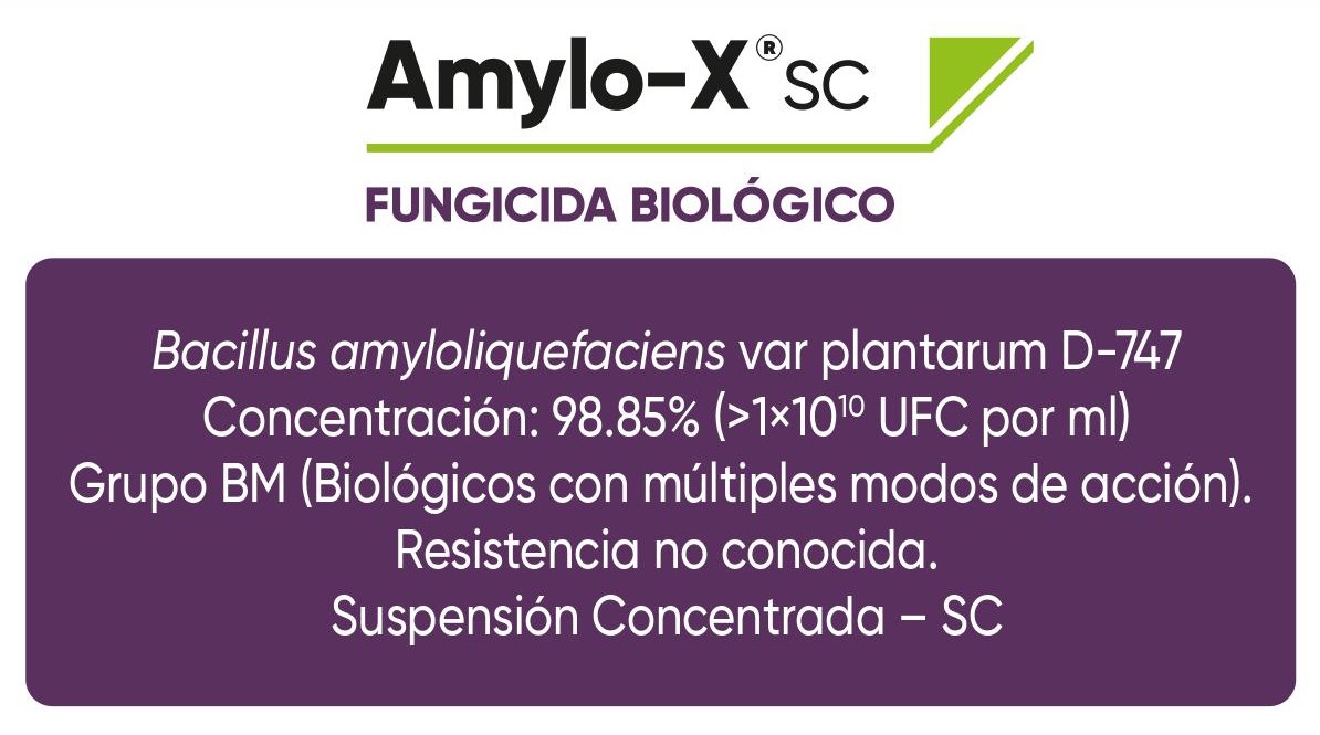 Corteva Agriscience presenta el fungicida biológico Amylo-X® SC
