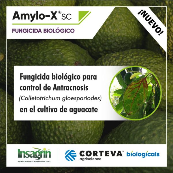 Corteva Agriscience presenta el fungicida biológico Amylo-X® SC