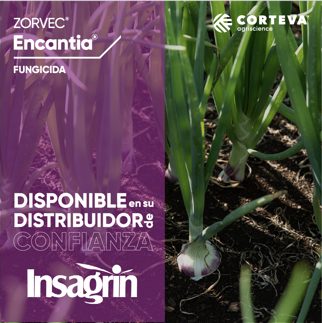 Zorvec® Encantia®, nuevo fungicida para el manejo de Gota y Mildeo Velloso