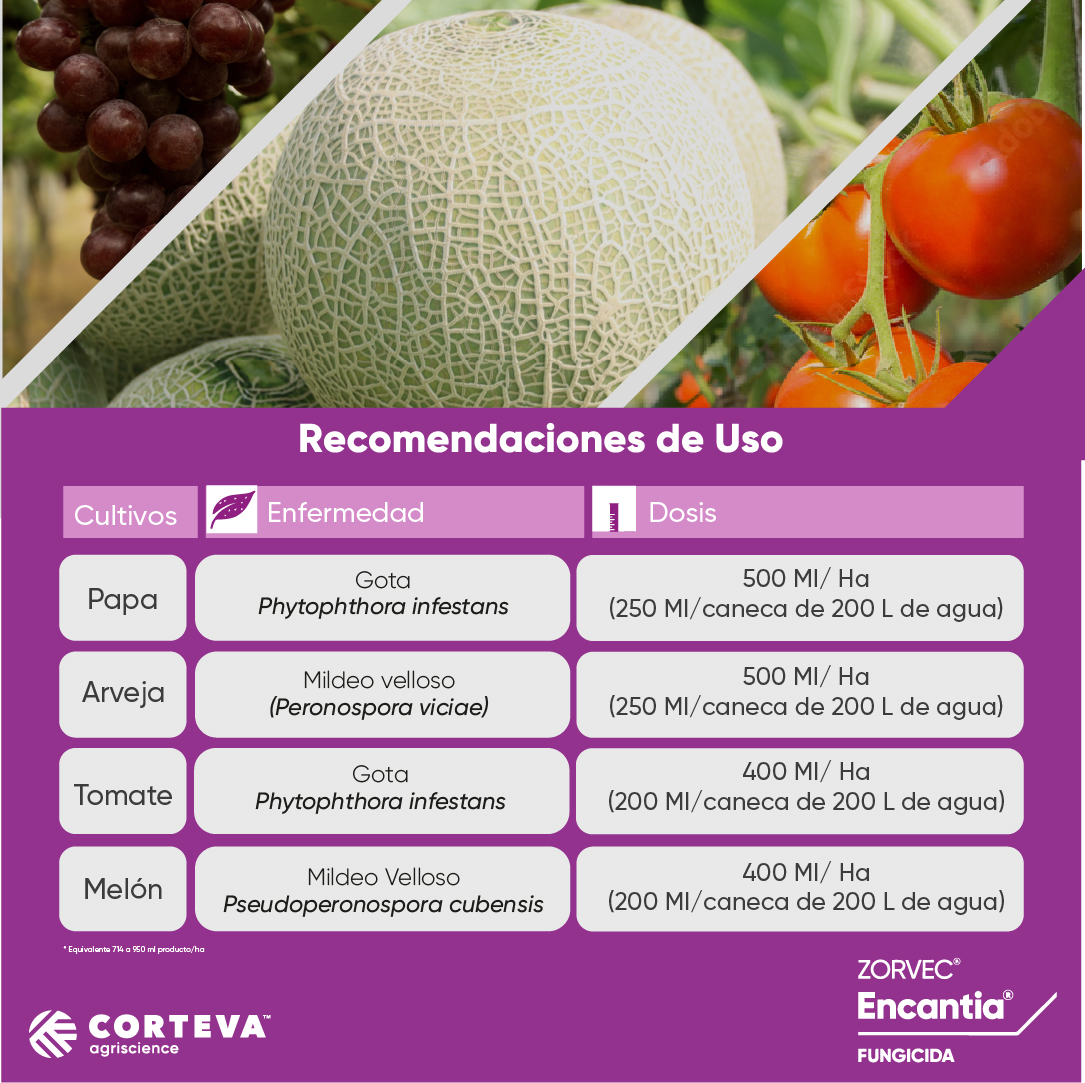 Zorvec® Encantia®, nuevo fungicida para el manejo de Gota y Mildeo Velloso