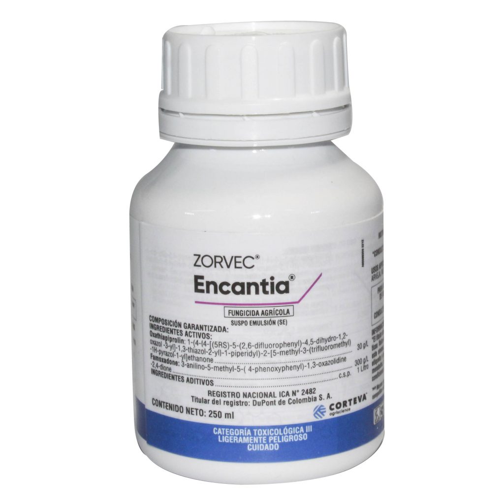 Zorvec Encantia - Insagrin