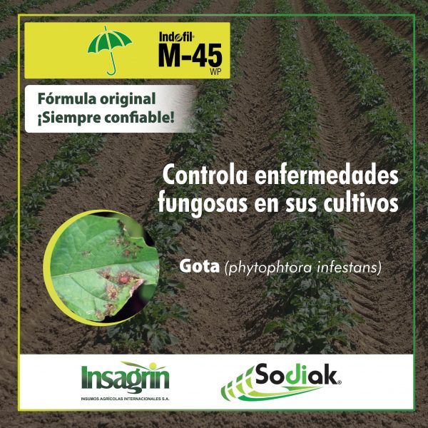 Indofil® M-45: el Mancozeb de toda la vida con su fórmula original, de ...